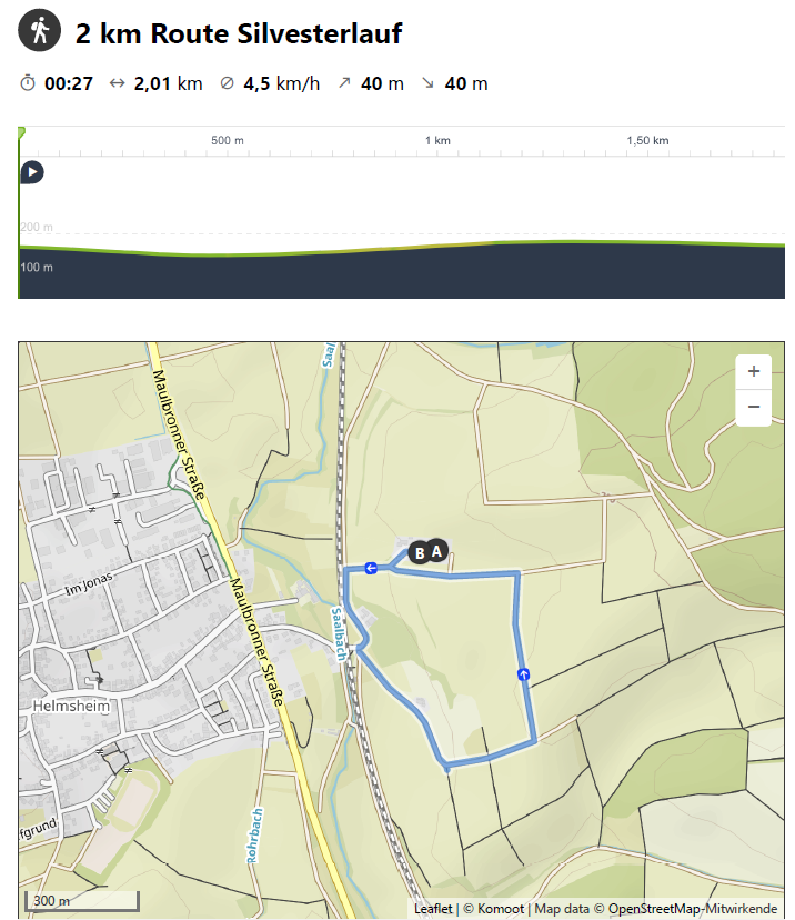 2km Lauf – EKG Heidelsheim